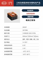 China BYD Lithium-ion Batteries For Three-wheel & Mini Four-wheel Vehicles 64V Series for sale