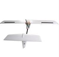 China Skywalker 1800mm FPV RC Plane RC Plane UAV Electric Powered EPO Airplanes for sale