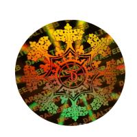 China Anti Counterfeit Hologram Qr Code Label Sticker Security Verification for sale
