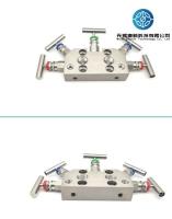 China 1/2 NPT 5-Way Pressure Transmitter Manifold - 6000 PSI Rating, Stainless Steel Construction for Industrial Applications for sale