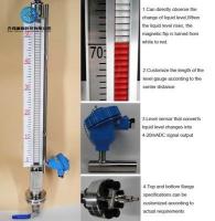 China 316L PTEF Magnetic Float Level Gauge Precise Level Gauge Magnetic Type for sale