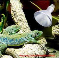 China FTL Full Spectrum Reptile HID Lamp 35W 6500k UVB Bulb 6000K Daylight Alert CE/ROHS Certified for sale