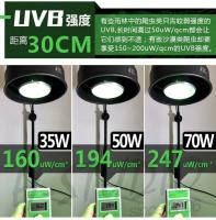 China 35W Reptile UVB PAR E27 Aluminium HID Lamp 6000K Daylight Alert For Terrarium for sale