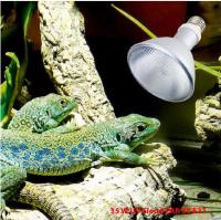 China 35W Reptile UVB PAR E27 Aluminium HID Lamp 6000K Daylight Alert For Terrarium for sale