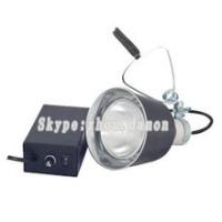 China 35w 50w 70w Grade A Aluminium Reptile Lighting for HID Lamp PAR30 Fixture CE/Rohs/LVD/EMC Certified for sale