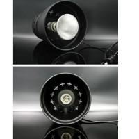 China Sustainable 60w 45w 30w HID Metal Halide Ballast For UVB Reptile UV Lamp for sale