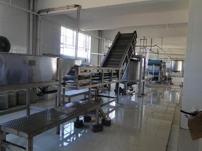 China Complete Kale Processing Line Celery/Kale/Cucumber Production Plant Customized Equipment For Vegetable Industry for sale