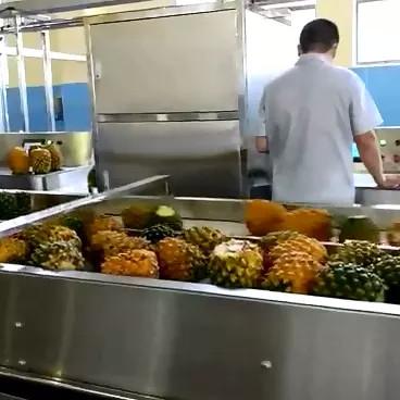 China SUS 304/316 Complete Pineapple Processing Line Customized Pineapple Production Plant Equipment For Fruit Industry for sale