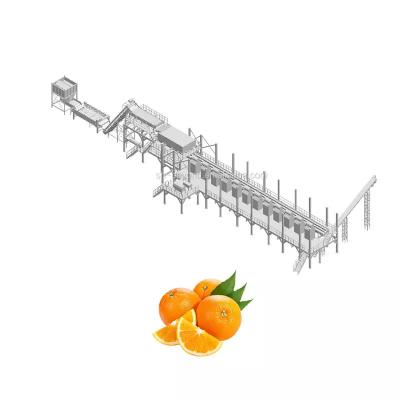 China Industrial Orange Citrus Juice Production Line Automatic for sale