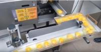 China Best Selling SUS304 Egg Separator Machine Egg Breaker Machine Liquid Egg Processing Line for sale