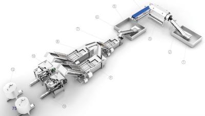 China 5tph Acai Berry Pulp Process Plant / Berry Pulp Processing Machine Factory for sale