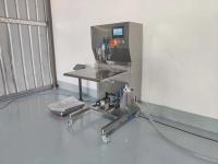 China Stainless Steel304 Bag-In-Box Filling Machine Suitable Liquid Semi-liquid Products Durable Materials Corrosion Resistant for sale