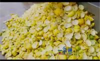 China Multi - Function SUS304 Fruit Peeler Machine For Skin Separator for sale