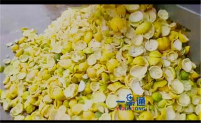 China Multi - Function SUS304 Fruit Peeler Machine For Skin Separator for sale