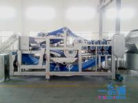 China Lemon And Vegetables Fruit Pulp Making Machine Belt Perss Energy Saving for sale