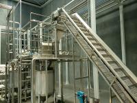 China Raw Fruit Mango Juice Processing Line Sterilizing 10T Per Day for sale