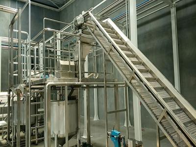 China Raw Fruit Mango Juice Processing Line Sterilizing 10T Per Day for sale