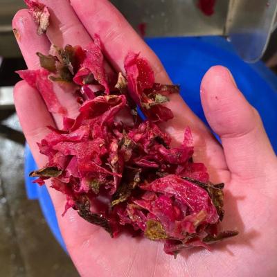 China Pitaya Juicing And Pulping Machine SUS304 7.5KW 3T/H for sale