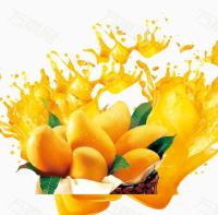 China Fruit Vegetable Mango Pulp Processing Plant  2-5T/H SUS304 for sale