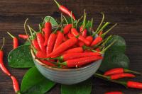 China Laoganma Chili Sauce Processing Line 2 - 3T/H SUS316 380V 50Hz for sale