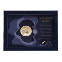China Rectangle Meteorite Display Box Coin Inlay Leather Glass Box For Collectible for sale