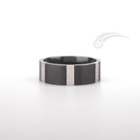 China 8mm Width Meteorite Band Ring Eternity Muonionalusta Meteorite Ring for sale