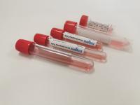 China DNA Oral Sterile VTM Disposable Virus Sampling Kits for sale