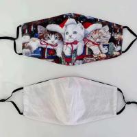 China CE FDA 22*15cm PM2.5 Breathable Disposable Dust Mask for sale