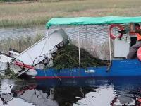 China 40kw Power Lake Weed Cutter Machine For Harvesting Aquatic Plants In Reservoirs for sale