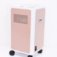 China Oxy Echo hydrogen gas inhalation machines Home Moveable Pink 600 Ml 17.4kg for sale
