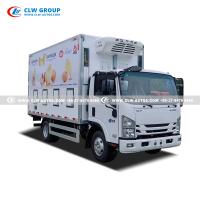 China Isuzu KV100 4.2m Insulated Chick Transport Truck with -15°C Refrigeration and Hydraulic Tailgate for sale