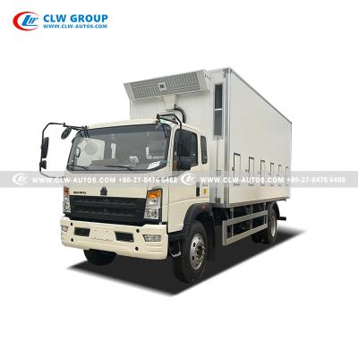 China Sinotruk HOWO 10-Ton Refrigerated Truck with Thermo King RV-1200S for Right-Hand Drive Cold Chain Logistics for sale
