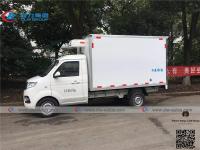 China Jinbei 4x2 Gasoline Engine Mini Refrigerated Truck 102HP 7cbm Cold Van for sale