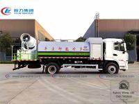 China Shacman 4x2 10000 Liters Dust Suppression Water Tank Truck Euro 5 245hp for sale