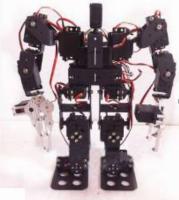 China Diy Arduino DOF Robot Remote Control Robot 15DOF Humanoid Robot for sale