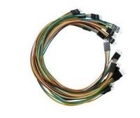 China 4Pin Dupont Jumper Wires 2.54 Spacing Pin Headers , 20cm Length for sale