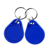 China 125KHZ EM4100 Protocol Standard RFID Key Chain for sale