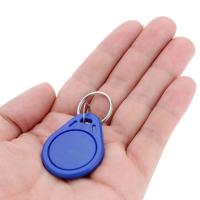 China 125KHZ EM4100 Protocol Standard RFID Key Chain for sale