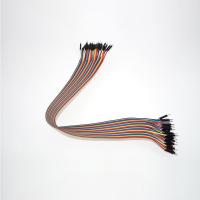 China 40cm  40 Pin Male To Male Dupont Jumper Wires for sale