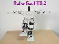 China Robotics equipment Large torque digital servo Support 17 DOF Humanoid robot for sale