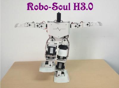 China Robotics equipment Large torque digital servo Support 17 DOF Humanoid robot for sale