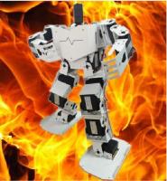 China Robotics equipment Large torque digital servo Support 17 DOF Humanoid robot for sale