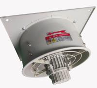 China Aluminum Alloy Explosion Proof Axial Fan CBFG-300 220V 380V IP55 Wall Exhaust for sale