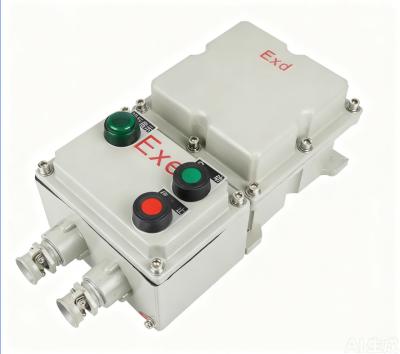 China Custom Explosion-Proof Magnetic Starter Motor Control Panel IP65 304 Stainless Steel for sale
