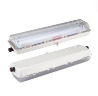 China IP66 ATEX Explosion Proof LED Linear Light 20W 40W 120lm/W Corrosion Resistant for sale