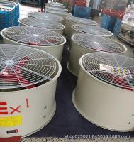 China Industrial Tube Axial Ventilation Blower Exhaust Fan Ex Proof Ventilation Blower for sale