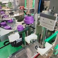 China Plastic Bottle Capping Sealing Machine with Sorting Feature and Motor Core Components for sale
