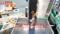 China Stainless Steel 304 Fully Automatic Elevating Type Arrange Capping Machine at Affordable for sale