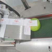 China High Productivity Flat Surface Labeling Machine with Program Control PLC Touch Screen for sale