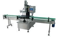 China Bottles Packaging Type Automatic Crown Bottle Capping Machine for Manufacturing Plant for sale
